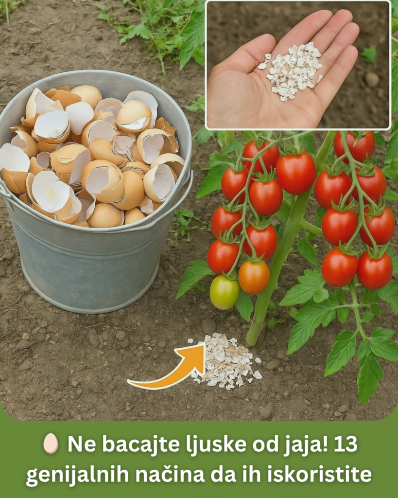 Nikada više nećete bacati ljuske jaja nakon što vidite ovih 13 ...